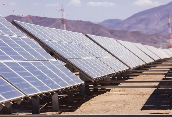 ACWA Power to become a net zero energy producer by 2030 - Global ...